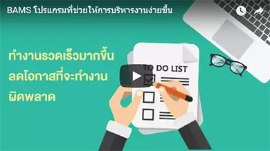 BAMS (Business Activity Management System) - Dtc